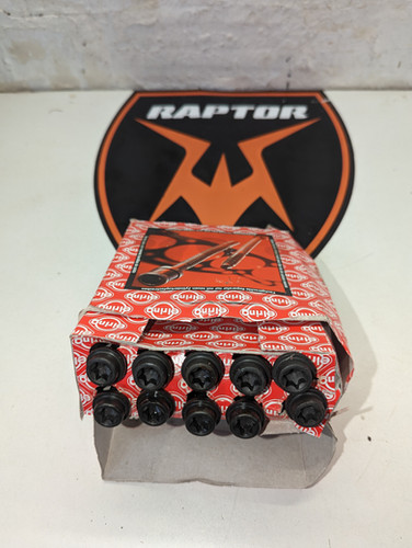 1.6 Eco boost head bolts | Raptorsportscars