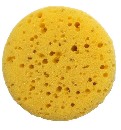 Sea Foam Sponge - Small - 3.5 x 1" | SWC Supply