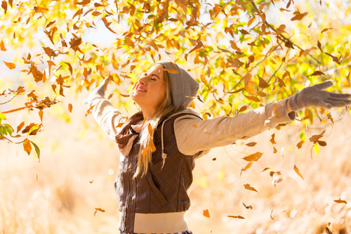 Fall Leaves | SWC Supply