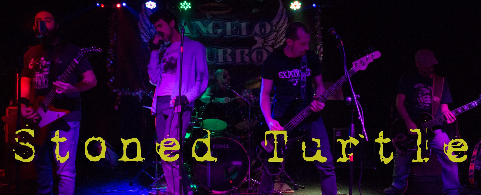 SHOWS | stonedturtle