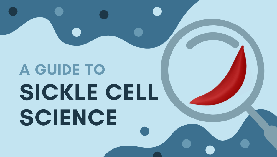 A Guide to Sickle Cell Science