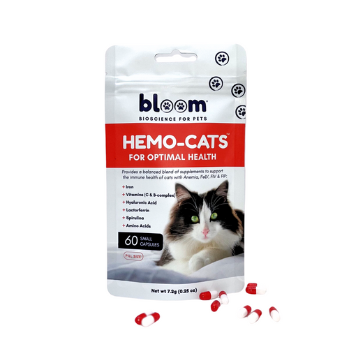 BLOOM - Hemo-Cats | FIPshop CANADA