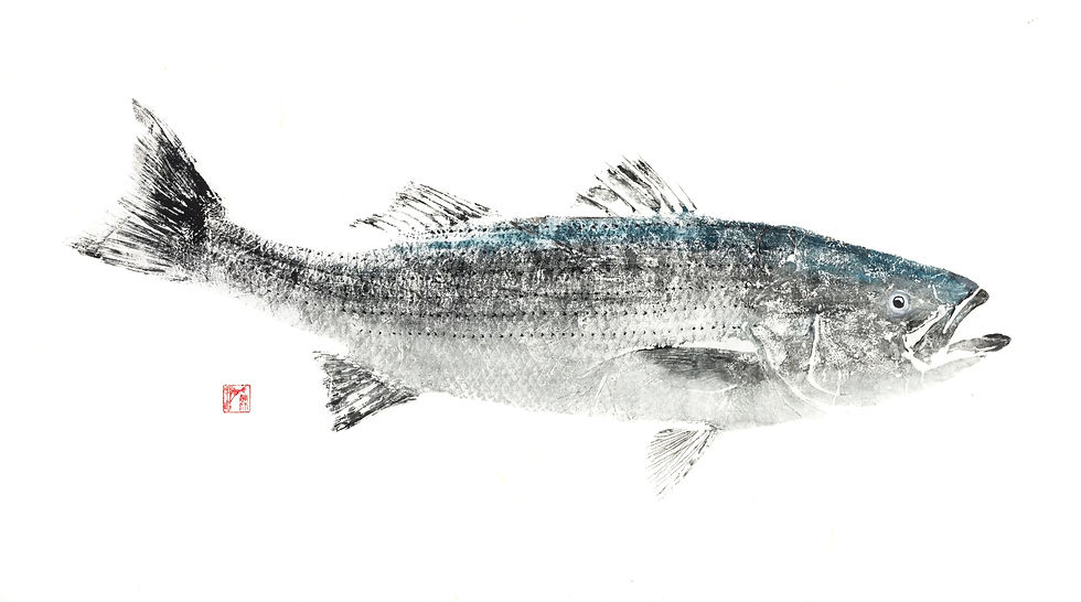 Gurnet Gyotaku | Custom art fish prints
