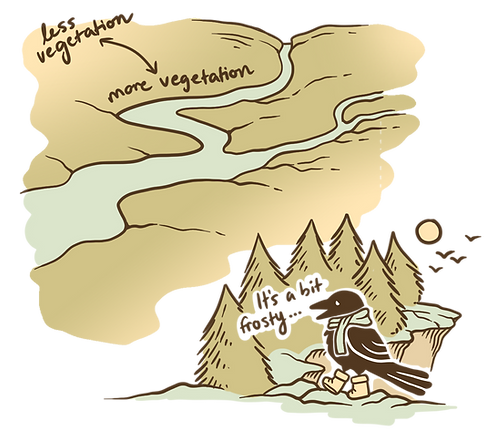 MAPMAKING ADVICE | Cartographybird Maps