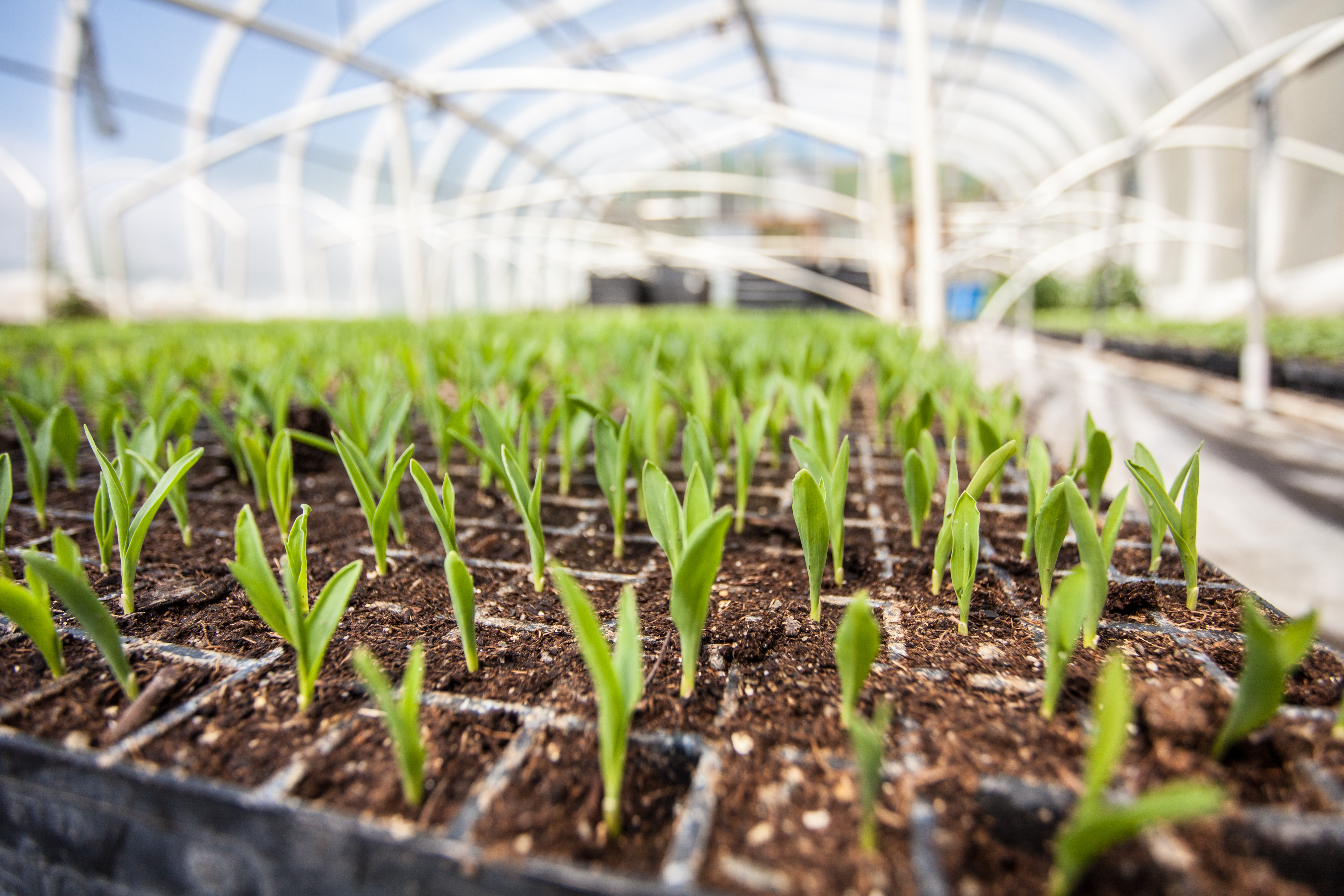 Photos | Springdale Farm