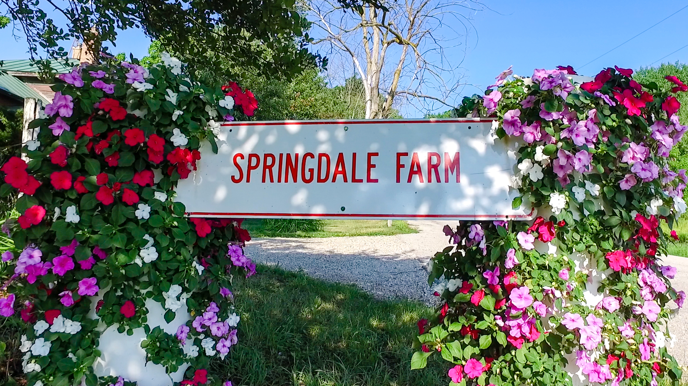 Photos | Springdale Farm