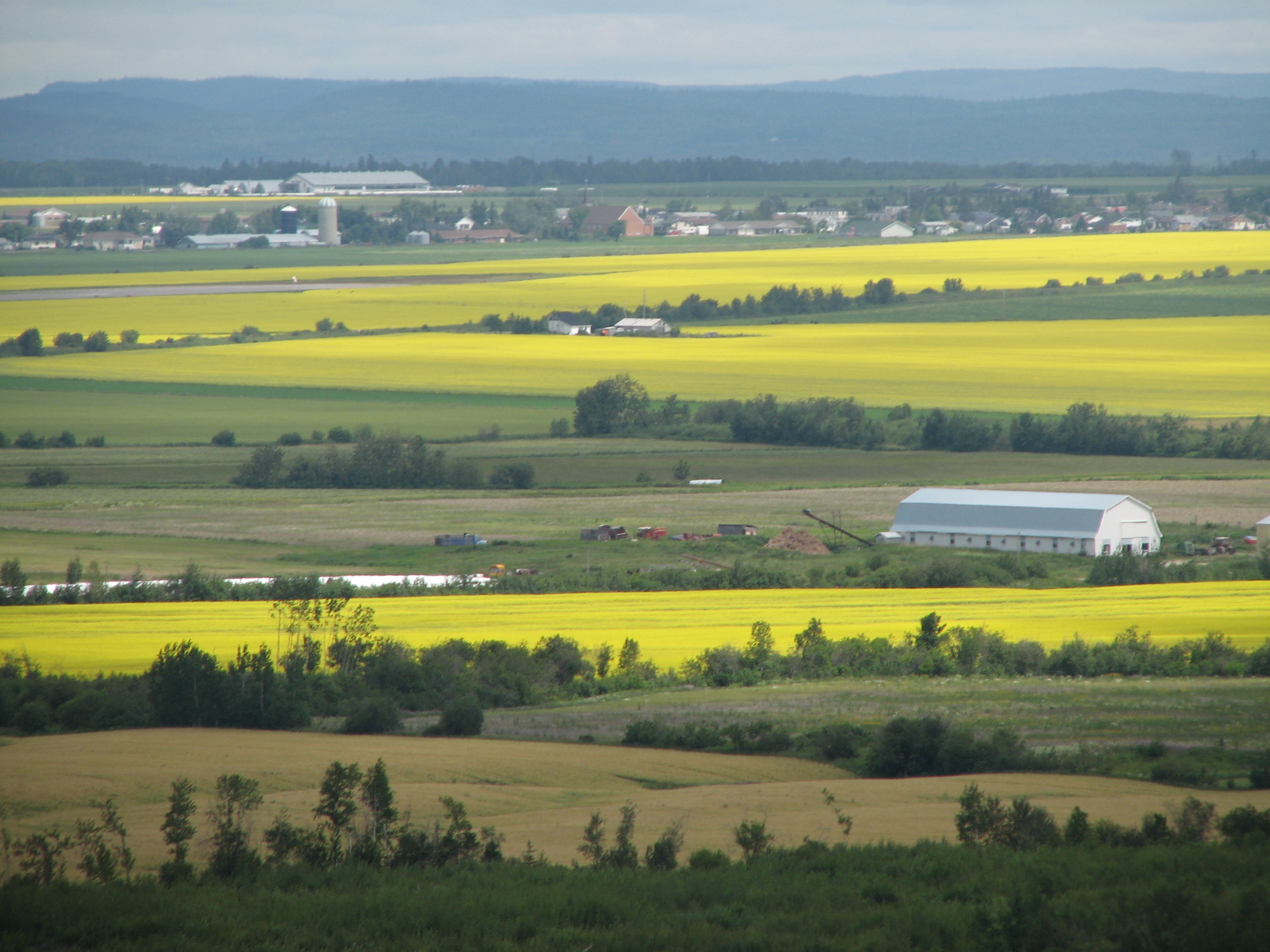 Northern Ontario Farm Innovation Alliance