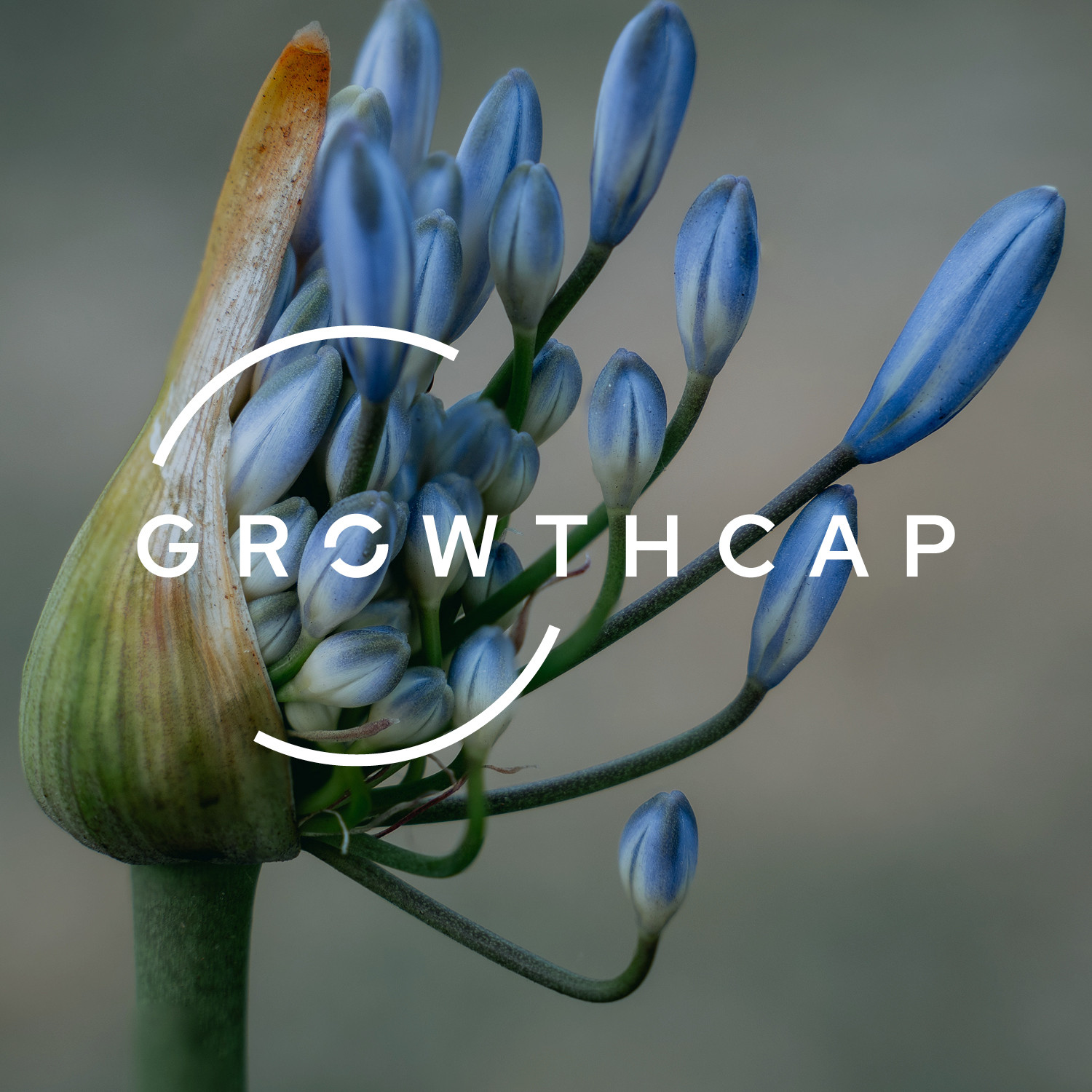Growthcap