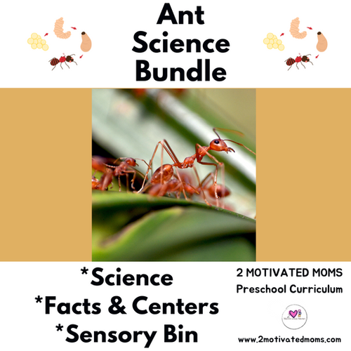 Ant Science Bundle, Insects | 2 Motivated Moms