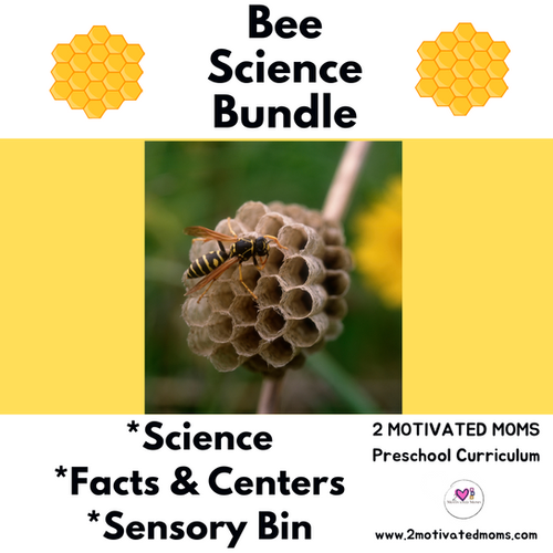 Bee Science Bundle, Insects | 2 Motivated Moms