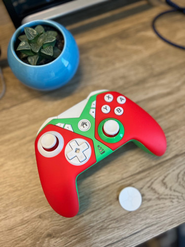 Nintendo Switch Flip Controller | trintendo