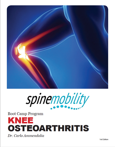 Knee Osteoarthritis Boot Camp Patient Workbook | spinemobility