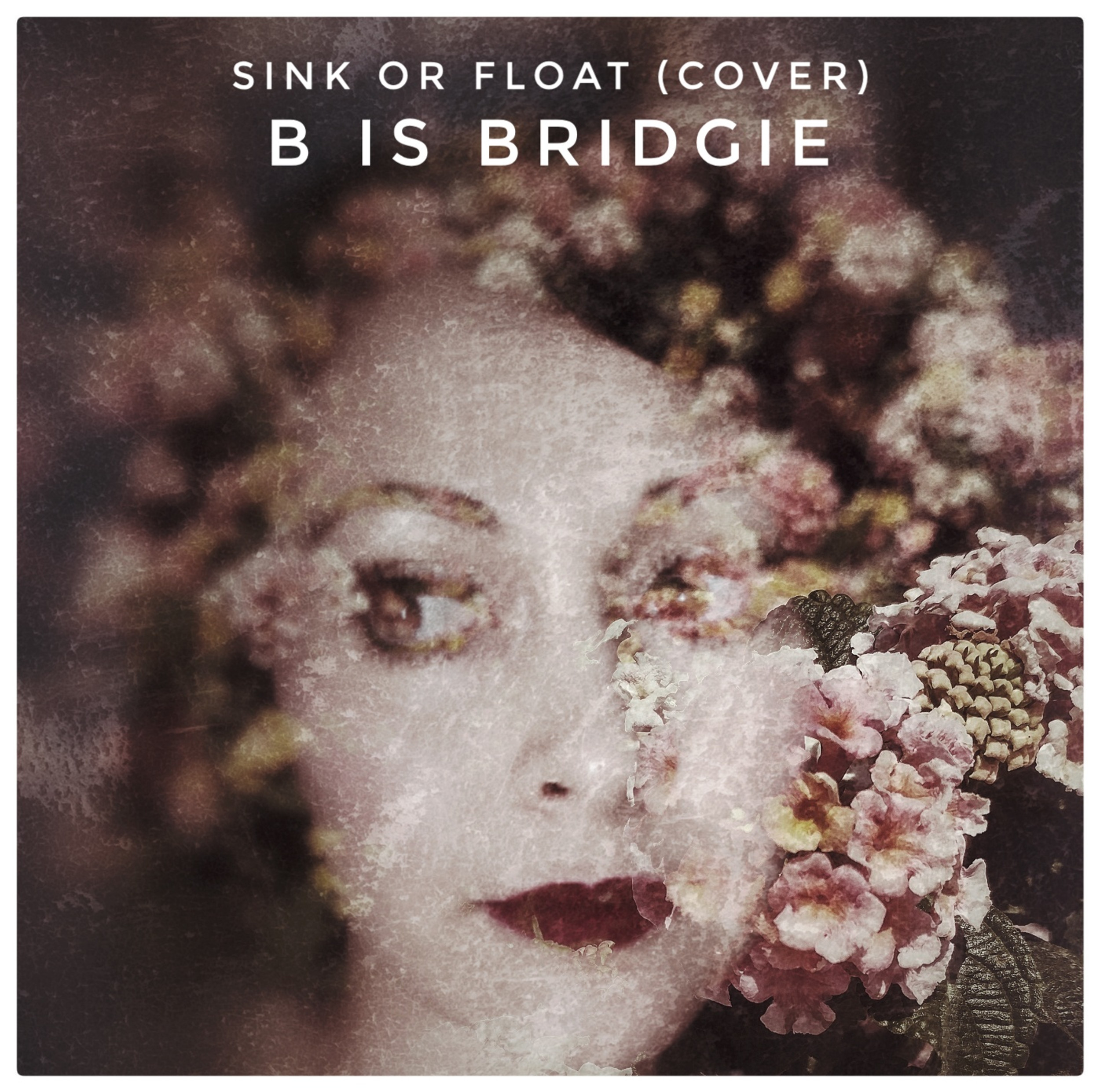 Sink Or Float Aberdeen Cover B Is Bridgie sink-or-float-aberdeen-cover-b-is-bridgie