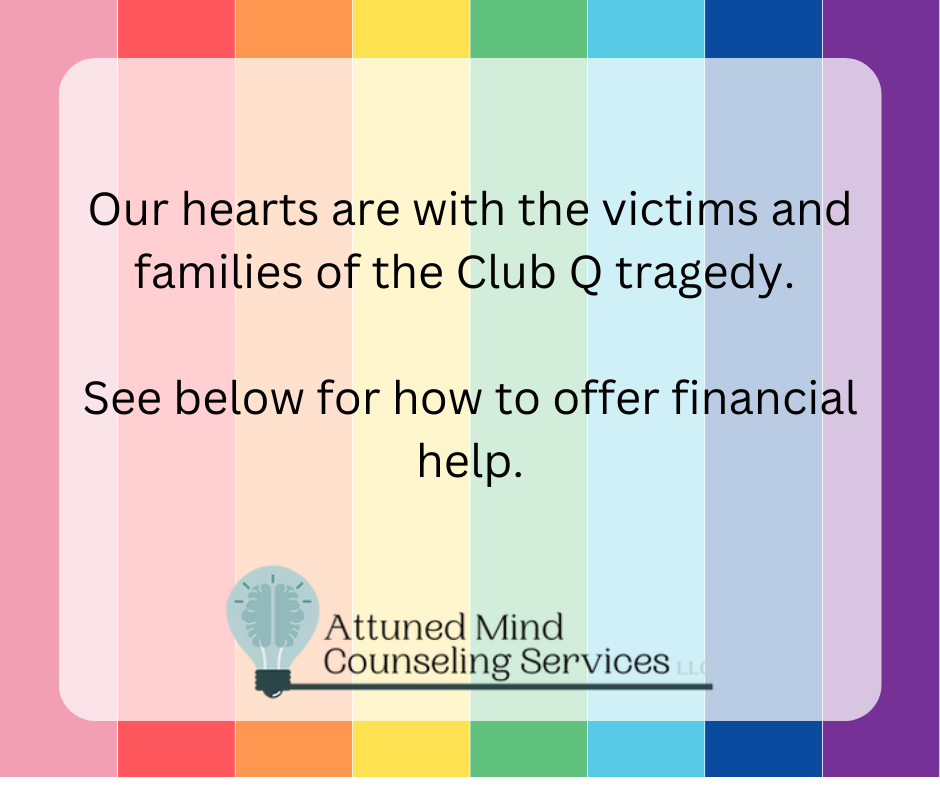 In light of the horrible tragedy on November 19th in Colorado Springs...