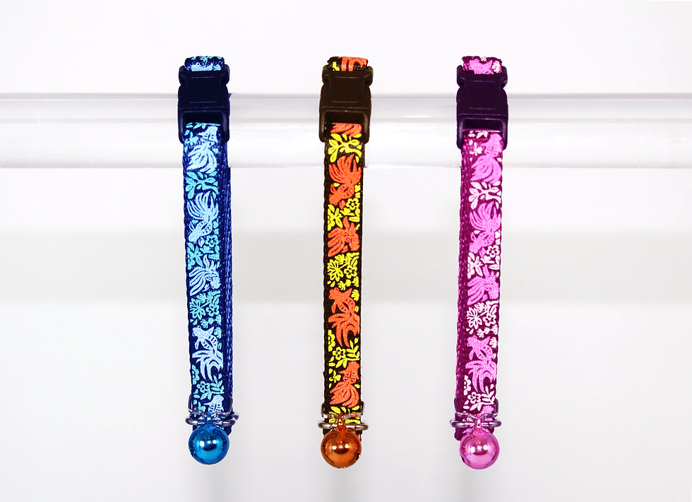 Goli Design LLC | Wholesale Cat and Dog Products | Portland OR, USA