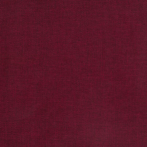 Warwick Beachcomber Orchid | Central Lakes Uphols