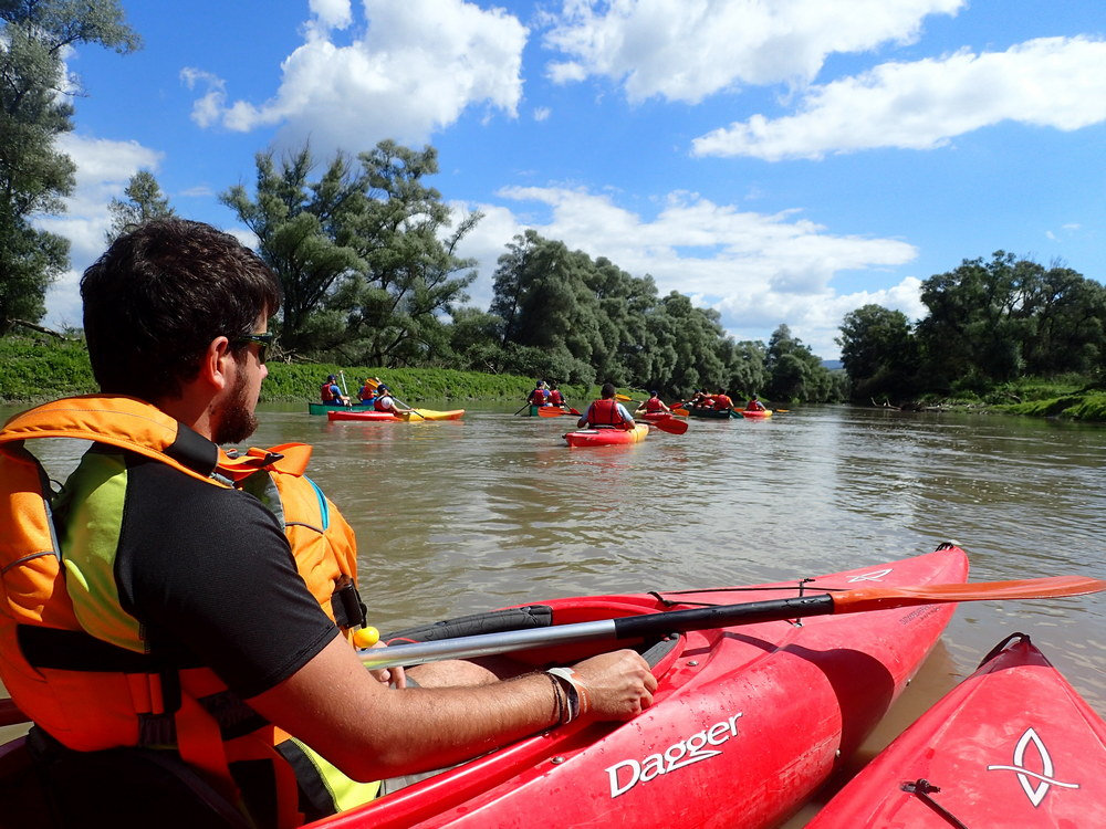 Caiac și canoe pe râul Olt