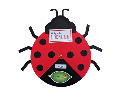 Ladybug Life Cycle Wheel Craftivity Kit | Lil Dude Learning