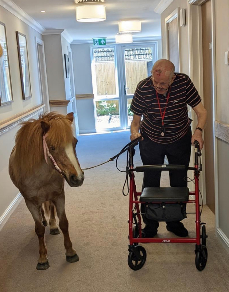 Therapy Ponies | Cambridge Therapy Ponies | England