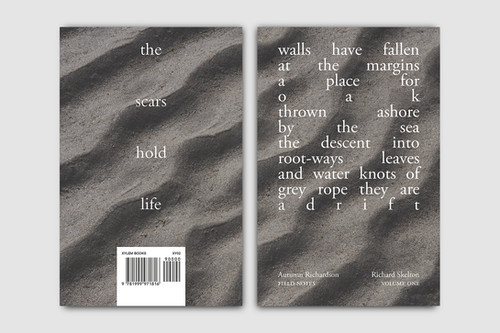 Field Notes Volume One Richardson Skelton Corbel Stone Press