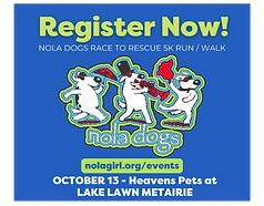 Meet the Pack | Take Paws Rescue