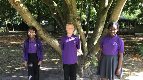 RWInc. Spelling | Bushbury Lane