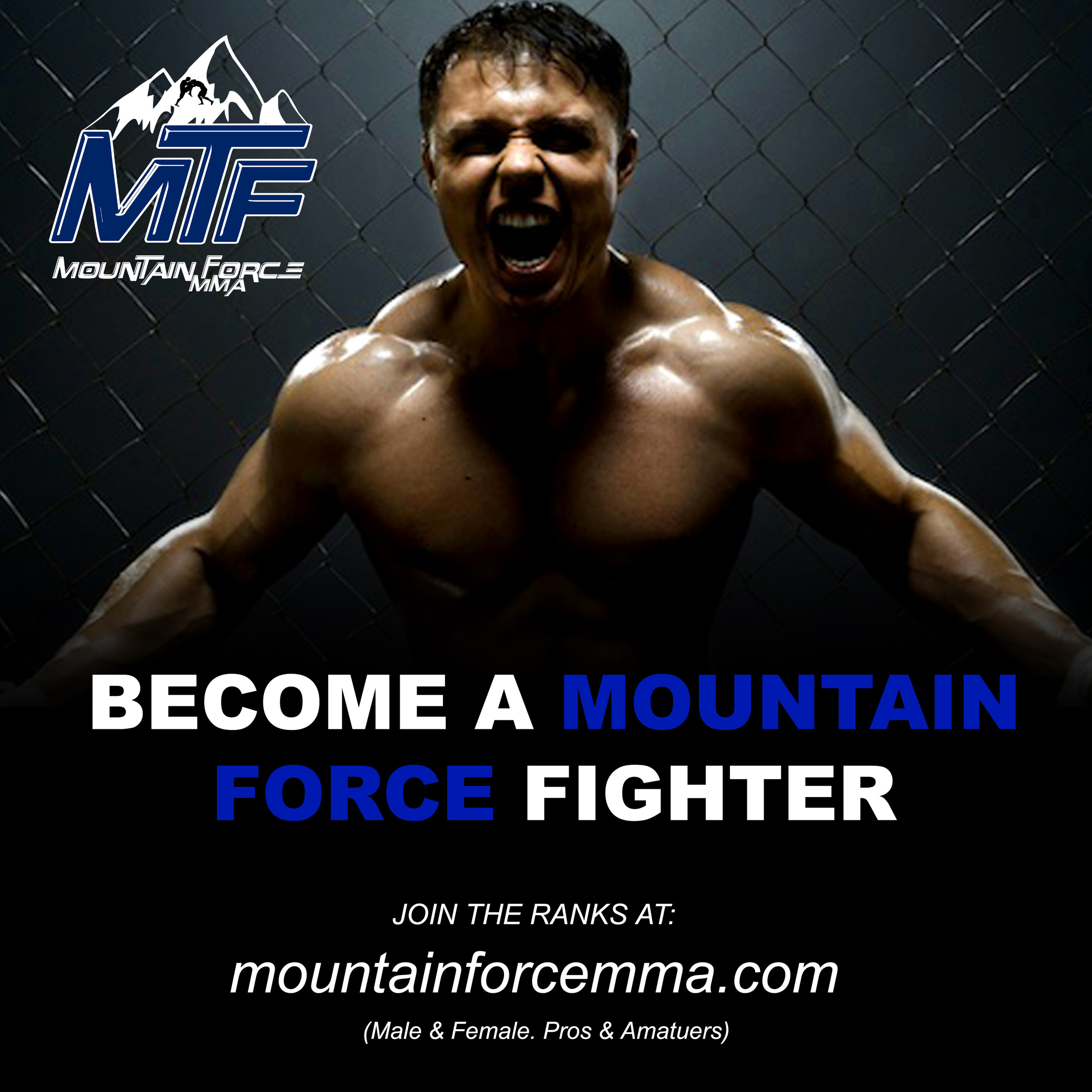 Fighter Inquiry | mountainforcemma