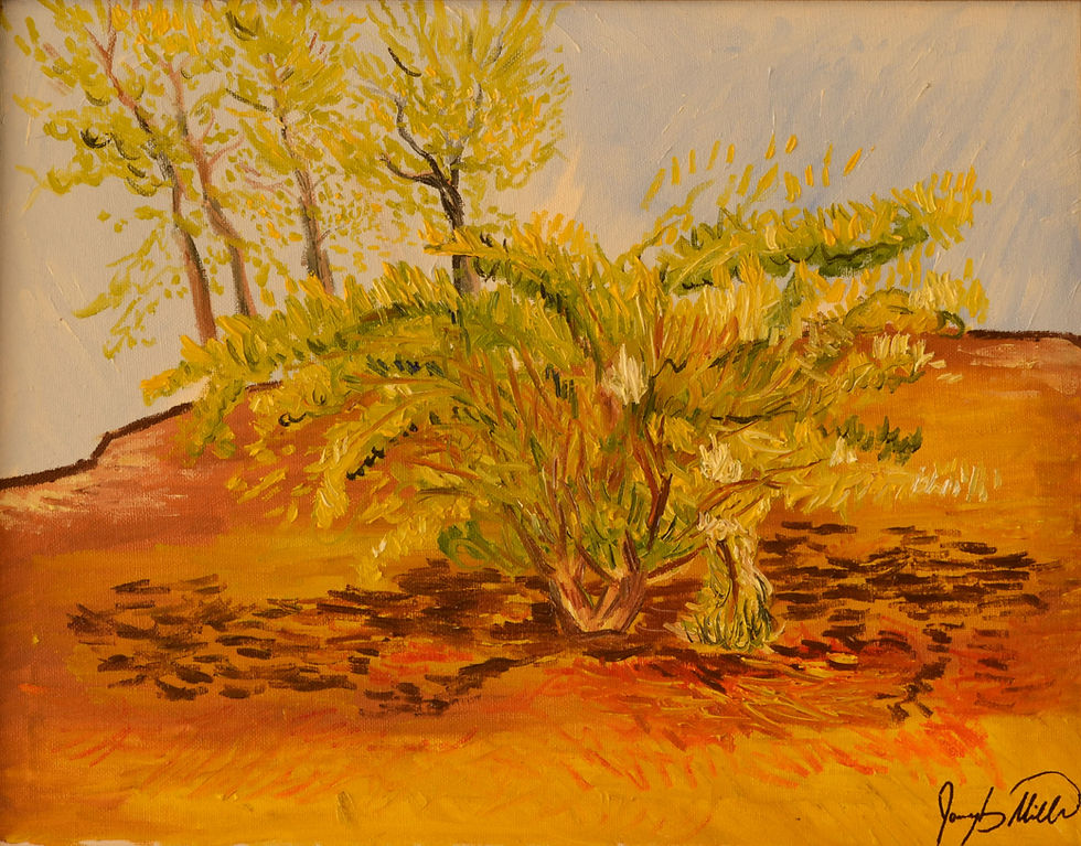 Artist | Joseph Miller Art | United States