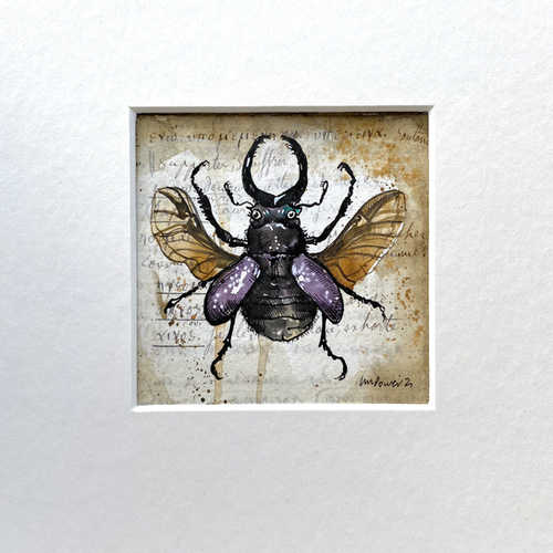 Large Hairy Stag Beetle - Original ink and watercolour Painting | Luci ...