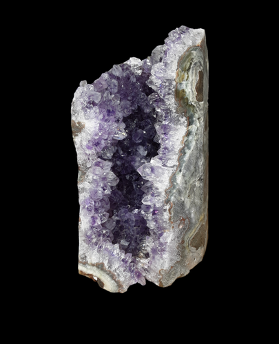 Amethyst Basin | Living Aquarium