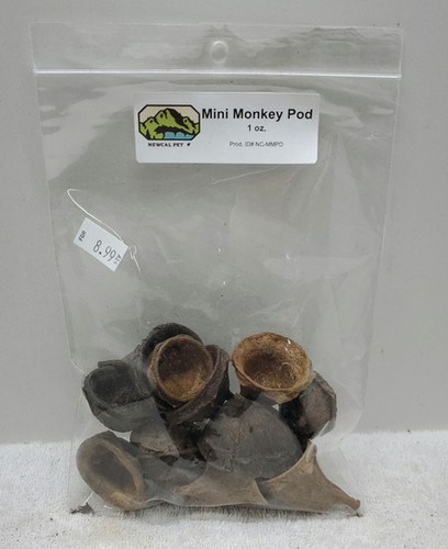 Mini Monkey Pods | Living Aquarium