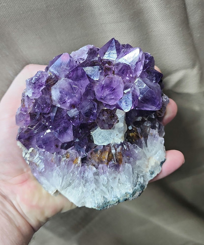 Amethyst deep purple | Living Aquarium