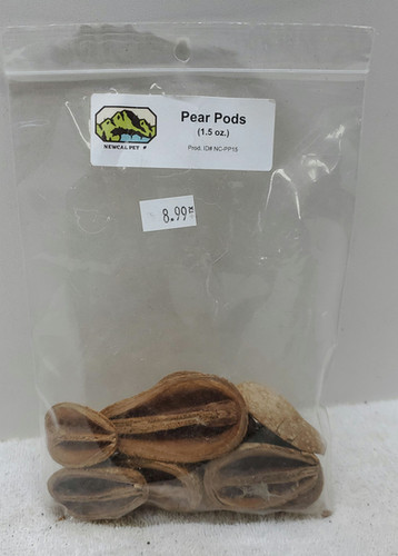 Pear Pods | Living Aquarium