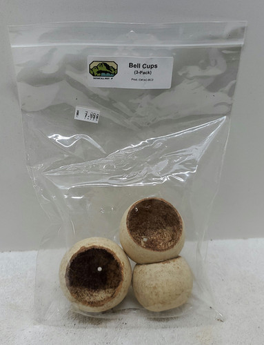 Bell Cups | Living Aquarium