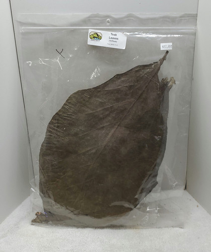 Teak Leaves 10 pack | Living Aquarium