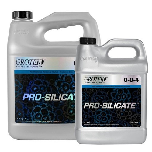 Pro Silicate | Living Aquarium