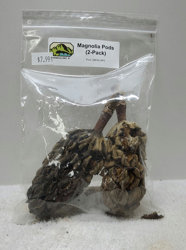 Magnolia Pods | Living Aquarium