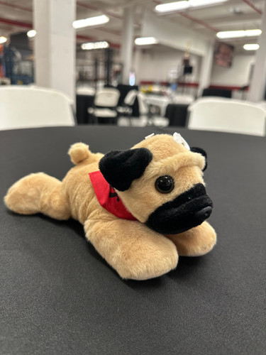 Piper the Pug | Larsen Motorsports
