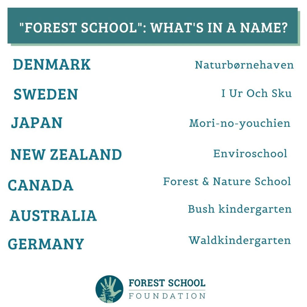 A Brief History Of Forest School – Sfostsee