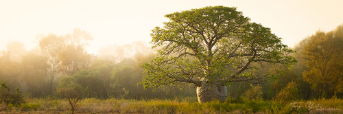 Kimberley Boabs, Willare, WA | Taryn Yeates Photo