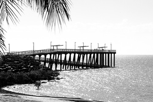 All Products | Taryn Yeates Photo