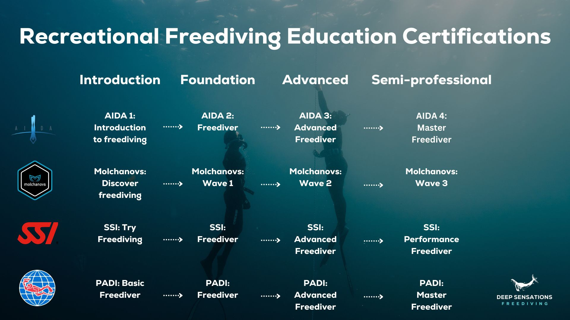 The Ultimate Guide to Freediving Certifications: Choosing the right path