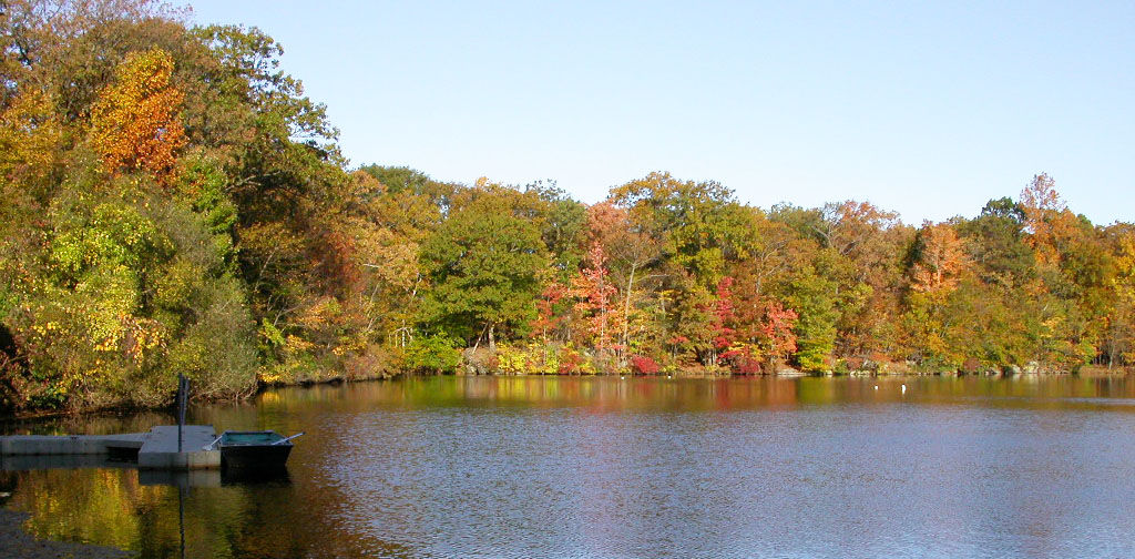 Algae in Calder Lake | FWA Biodiversity