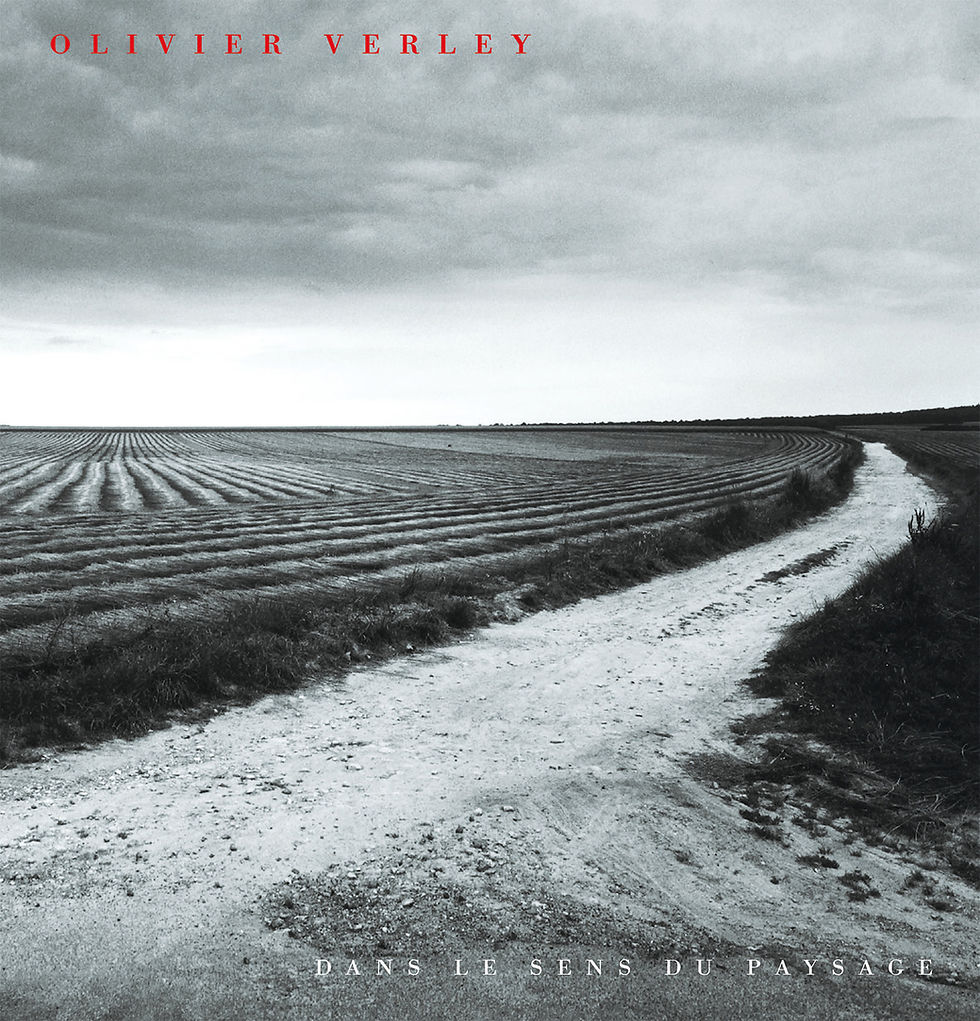 Olivier Verley. Dans le sens du paysage | lienarteditions