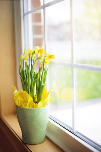 Springtime Glow | 915 Designs