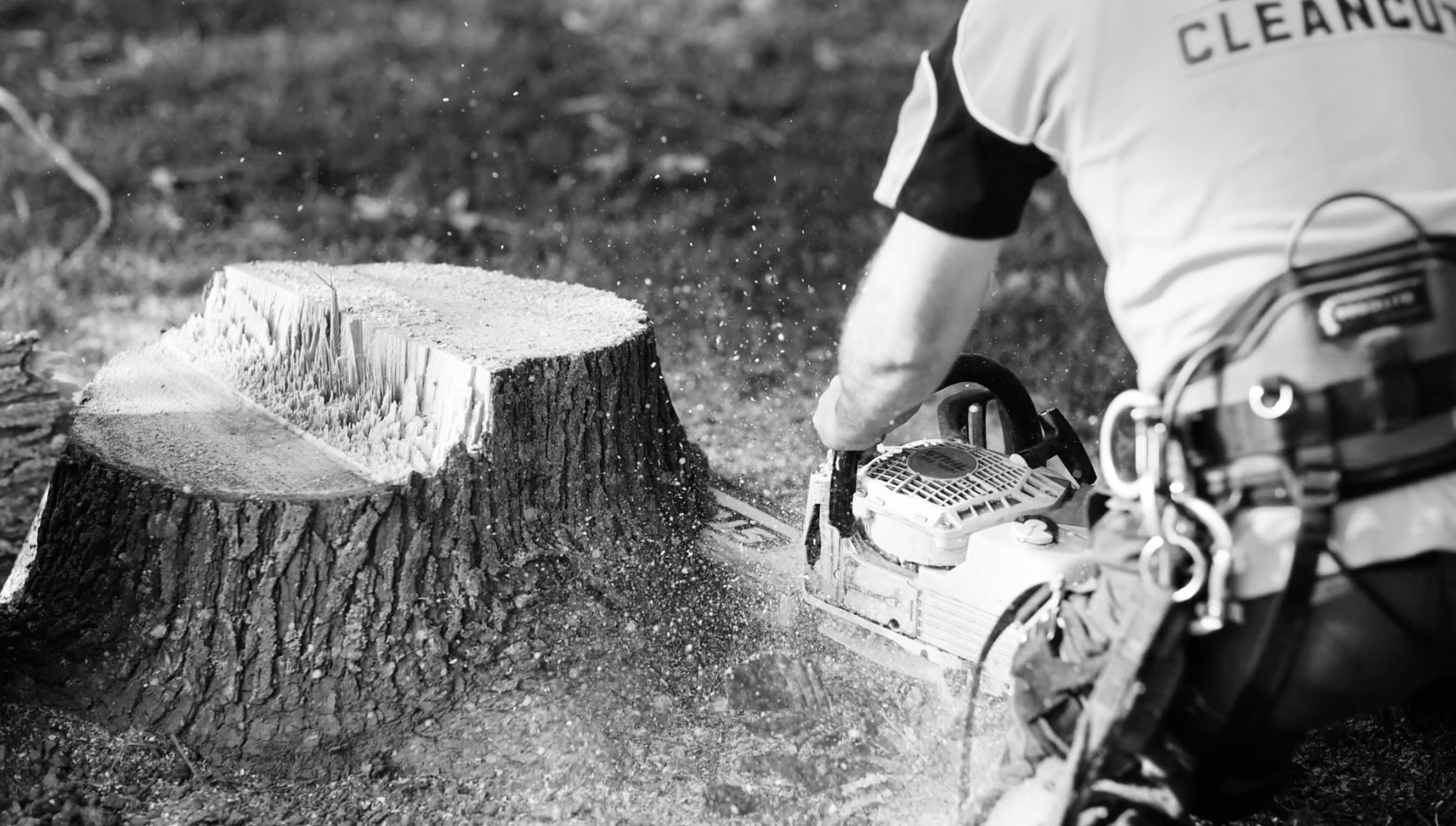 SERVICES | CLEANCUT Ltd