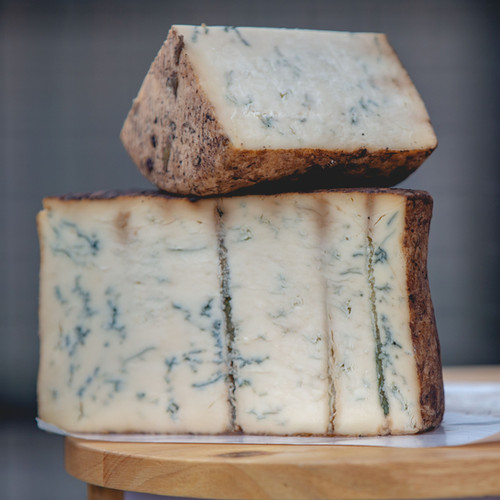 Блакитна/світло-сіра пліснява Sigma 17 | Cheese with Tetyana