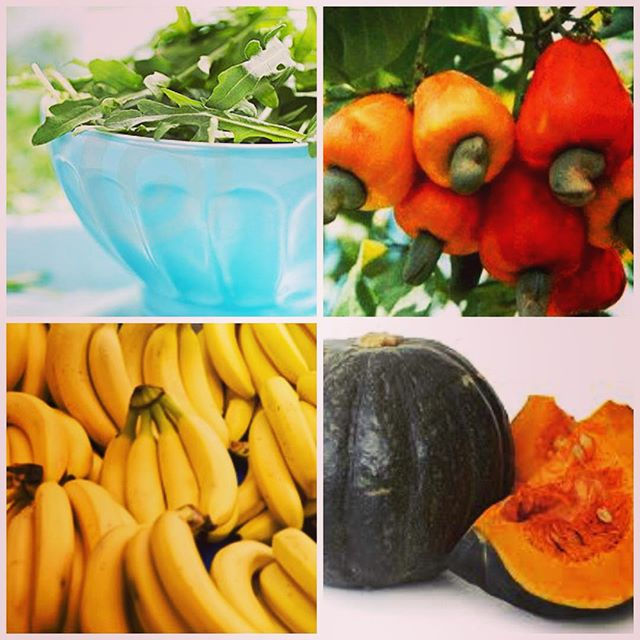 O guia da fruta de época