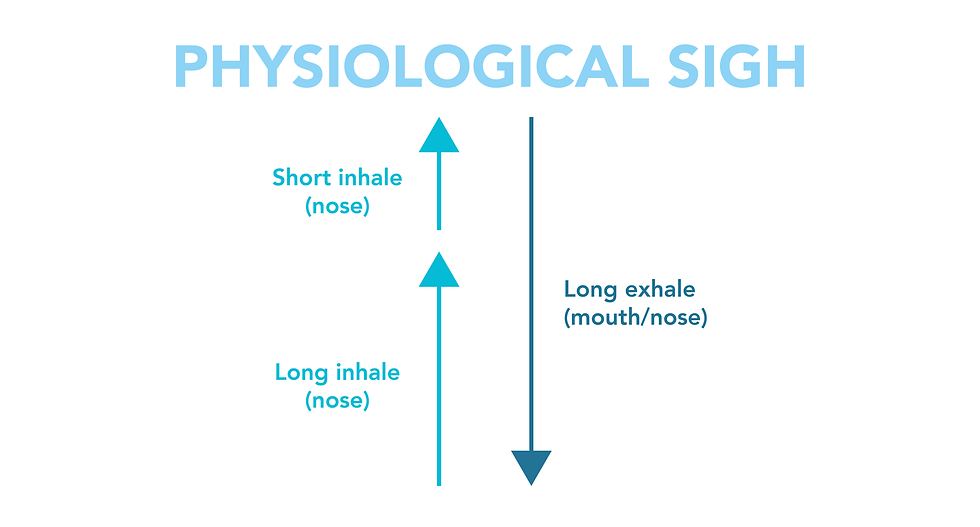 5 tips for overcoming public speaking anxiety at scientific conferences