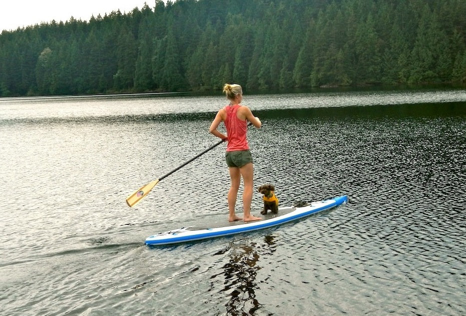 Stand Up Paddle Board